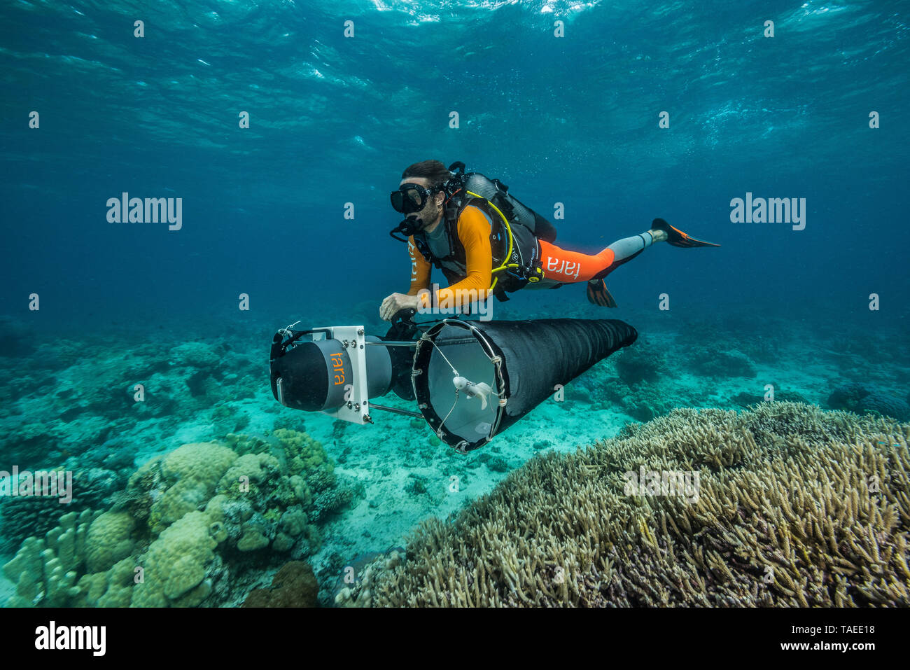 Tara Pacific expedition - november 2017 Reef off Suba Suba Island, 1,9 ...