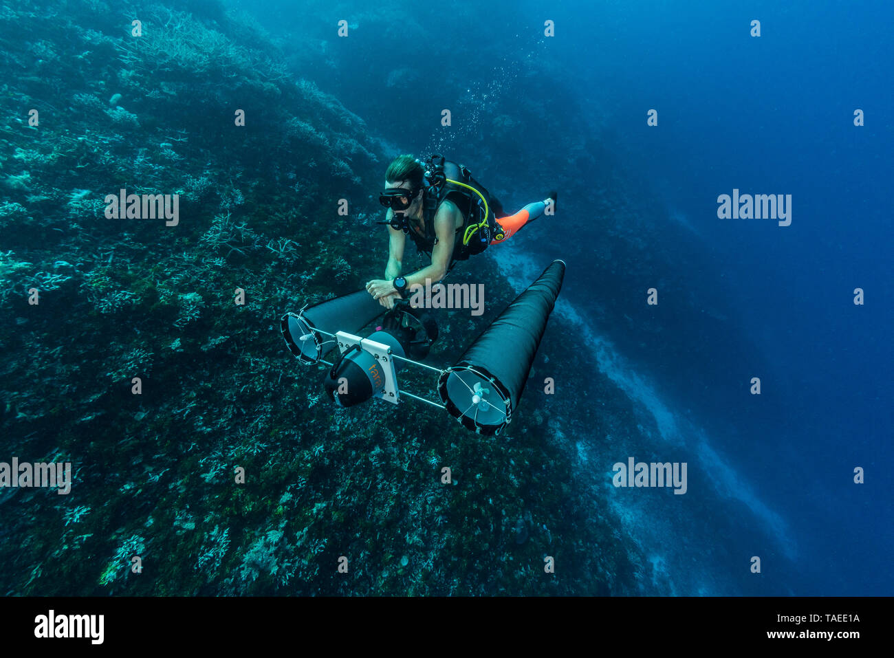 Tara Pacific expedition - november 2017 Outer reef, Banban and Muli ...