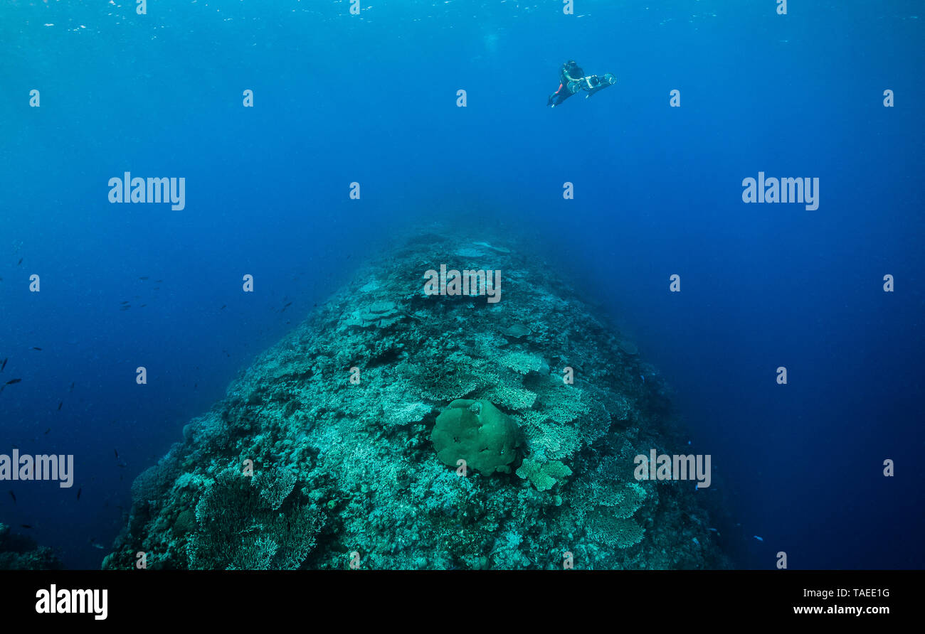 Tara Pacific expedition - november 2017 Outer reef, Banban and Muli ...