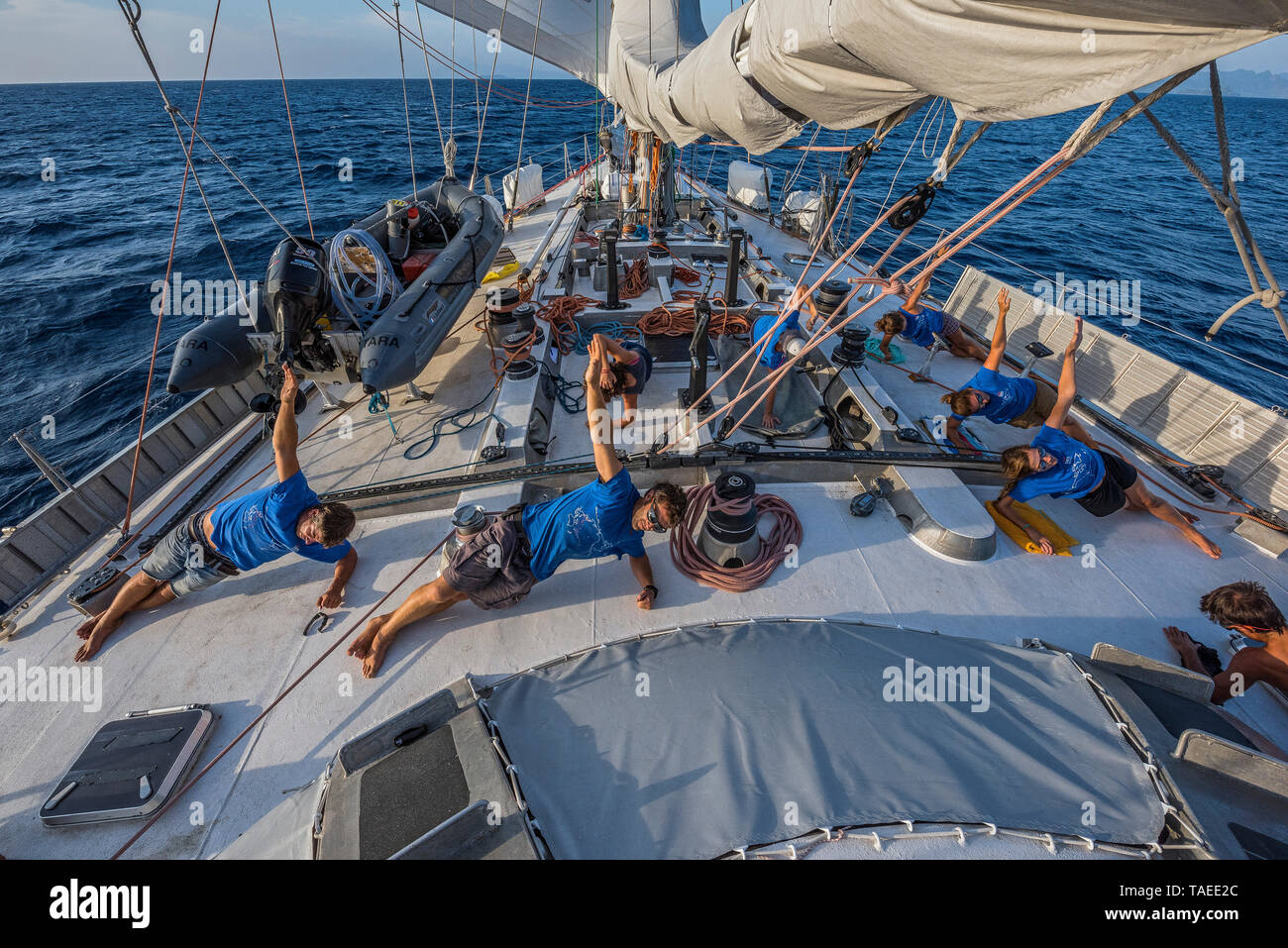 Tara Pacific expedition - november 2017 Morning exercise? on Tara ...