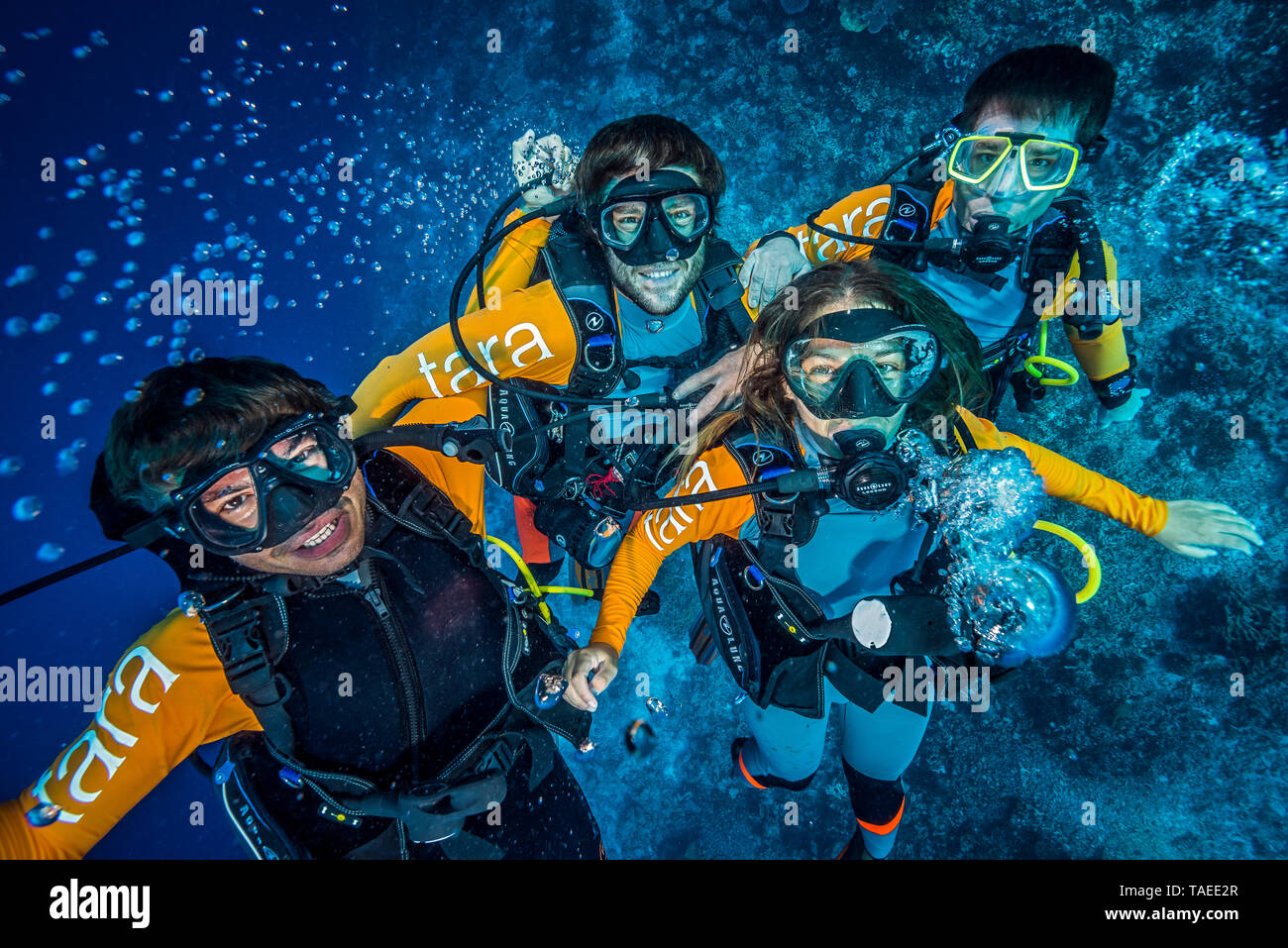 Tara bennett hi-res stock photography and images - Alamy