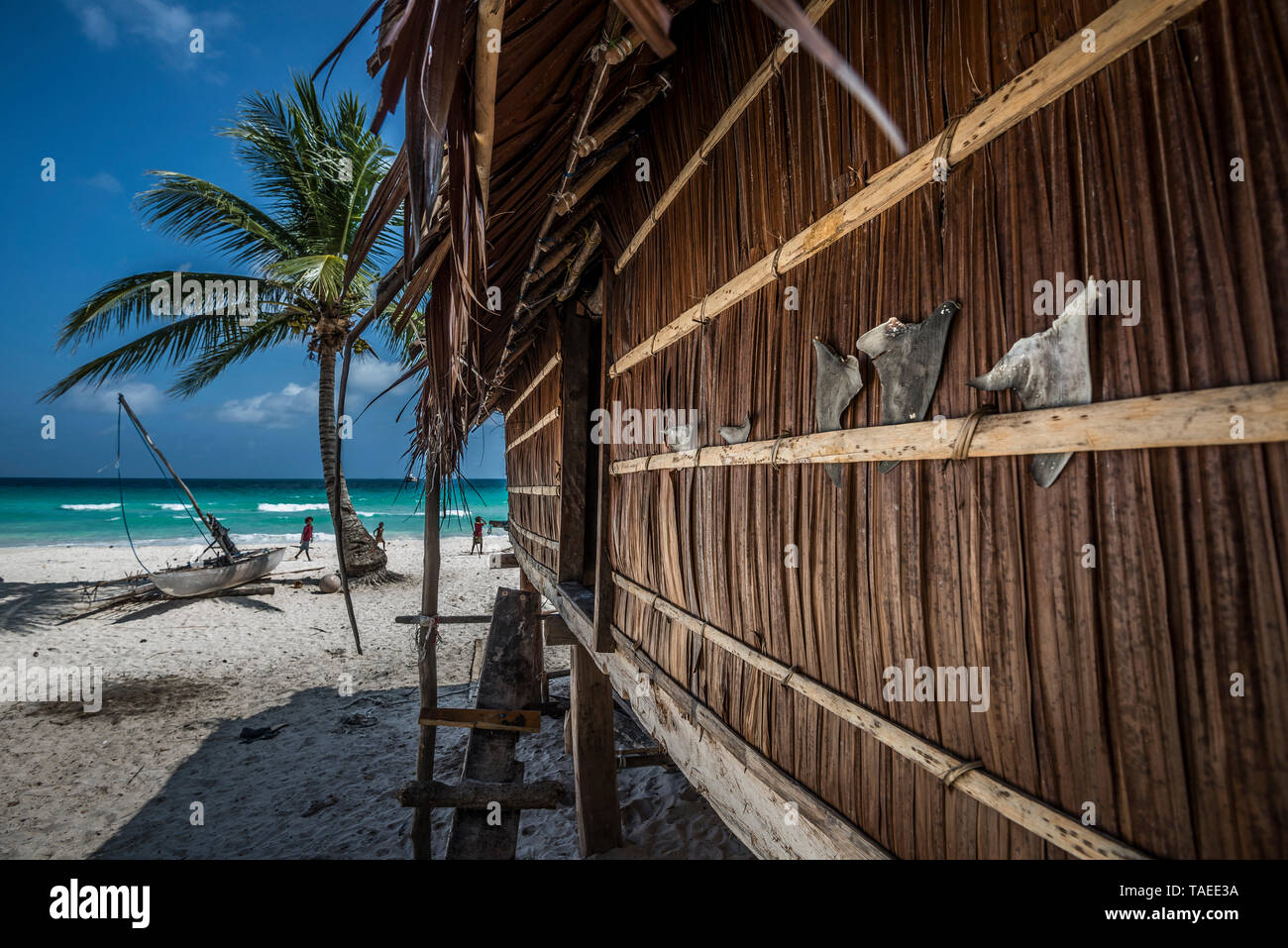 Tara Pacific expedition - november 2017 Yanaba Island, Egum Atoll ...