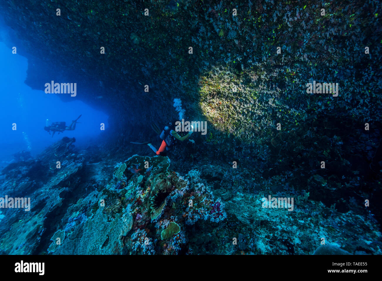 Tara Pacific expedition - november 2017 Coral limestone overhang, D: 11 ...