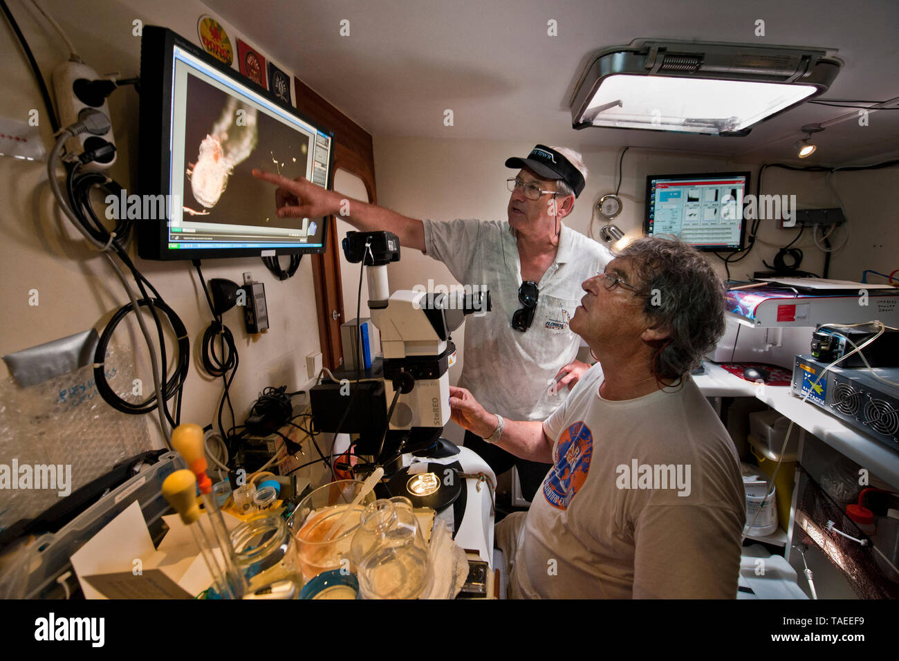 Ocean conservancy organization hi-res stock photography and images - Alamy