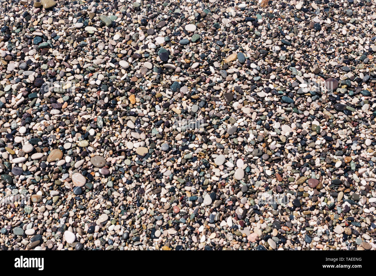 Sea pebble beach stones. Background texture coastline surf with wet ...