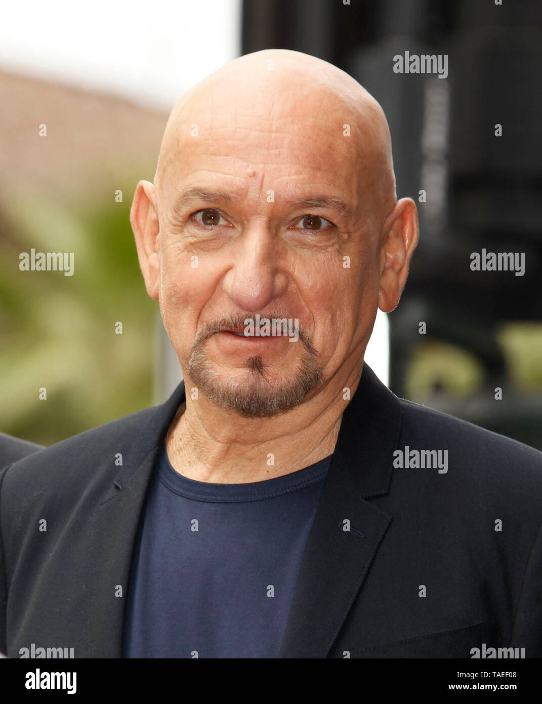 Einhorn 3 hi-res stock photography and images - Alamy