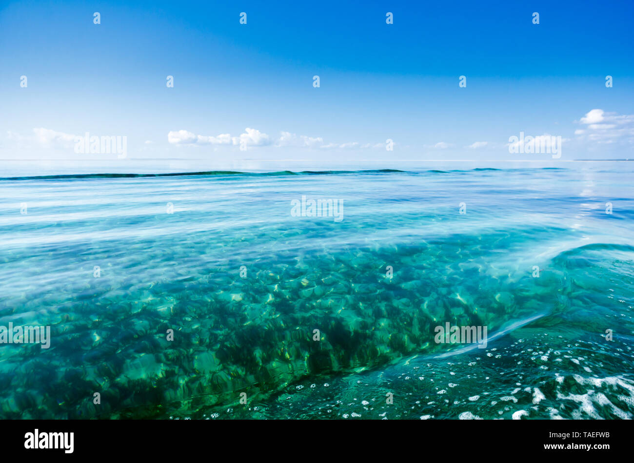 Quiet tropical sea blue sky with clouds and with transparent ones that ...