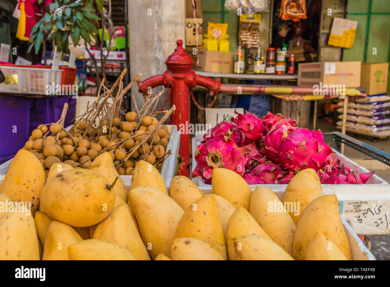 Campbell street fruit and vegetable market in George Town malaysia ...