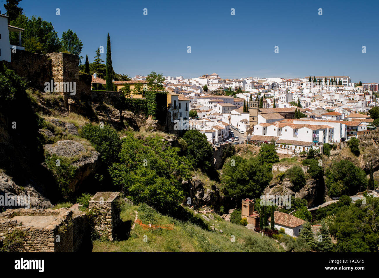 Malaga spain city spring hi-res stock photography and images - Alamy