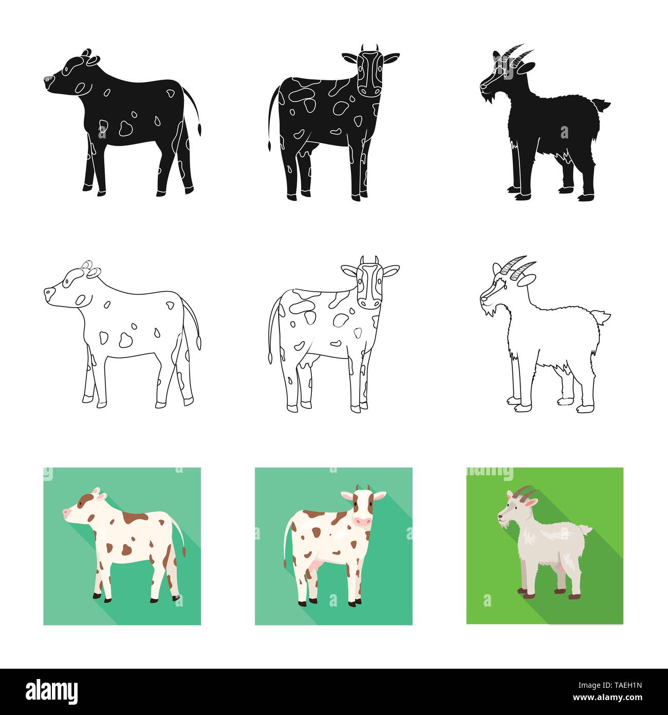 cow,goat,heifer,calf,pet,cheese,animal,milk,cattle,dairy,beef,meat,wool ...