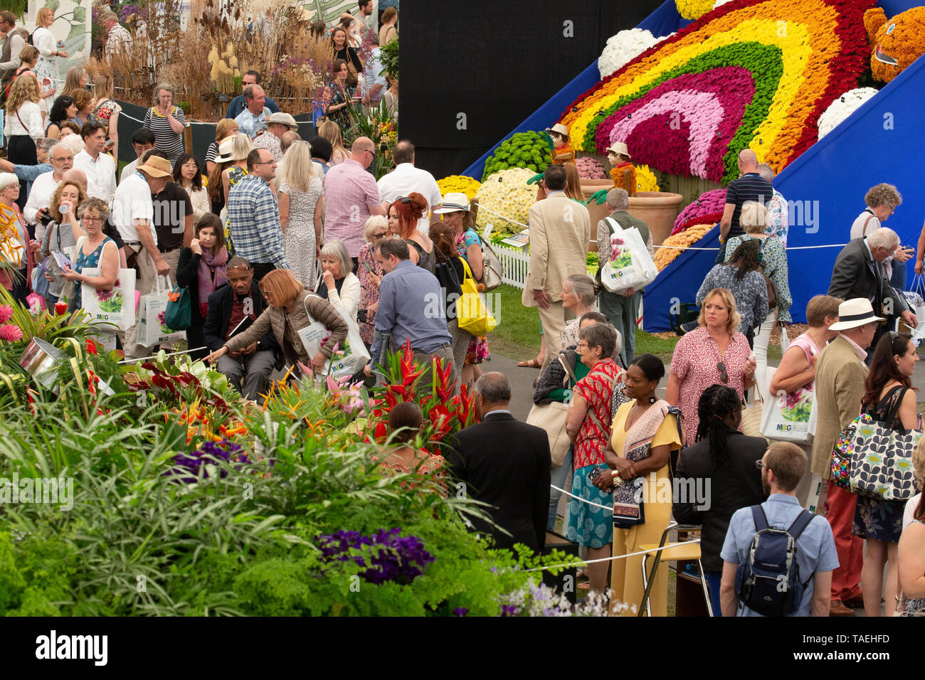 Large crowds at the RHS Chelsea Flower Show admiring the colourful ...