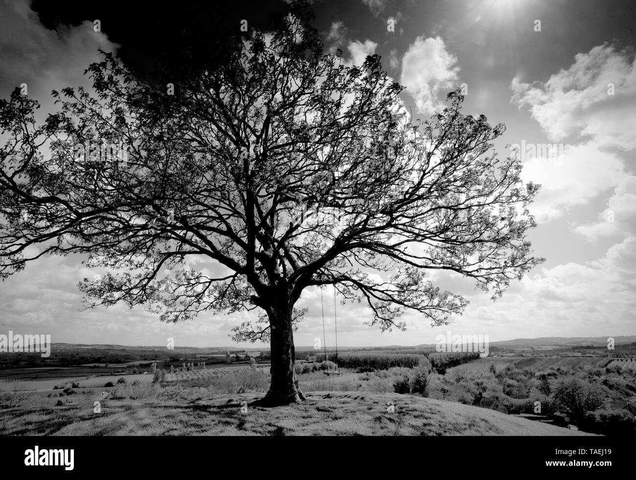 Whale farm hi-res stock photography and images - Alamy
