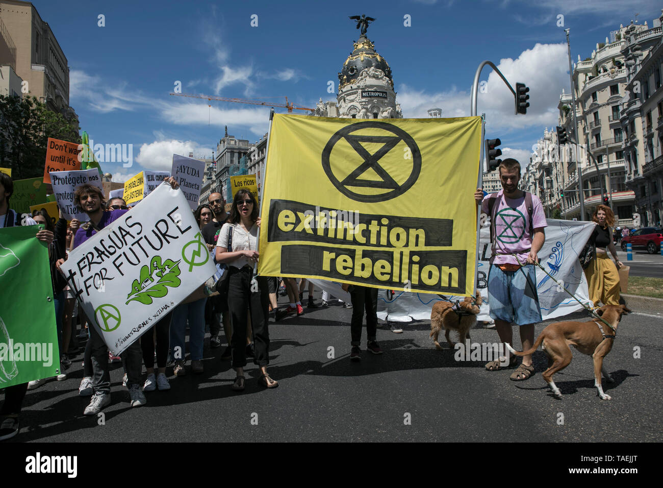 Activists are seen holding an extinction rebellion banner during the ...