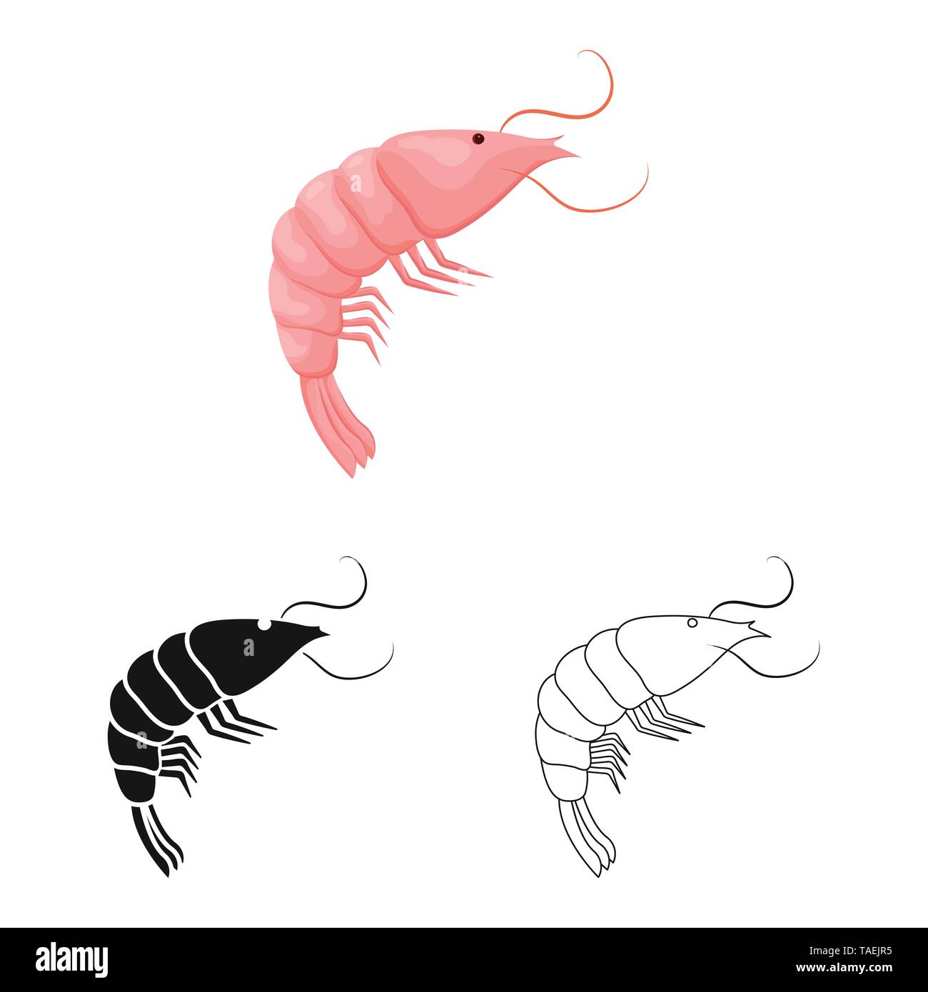 Vector design of prawn and raw icon. Set of prawn and luxury vector ...