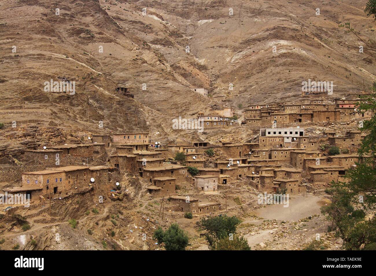 Old berber village oasis with houses build of clay bricks in front of ...