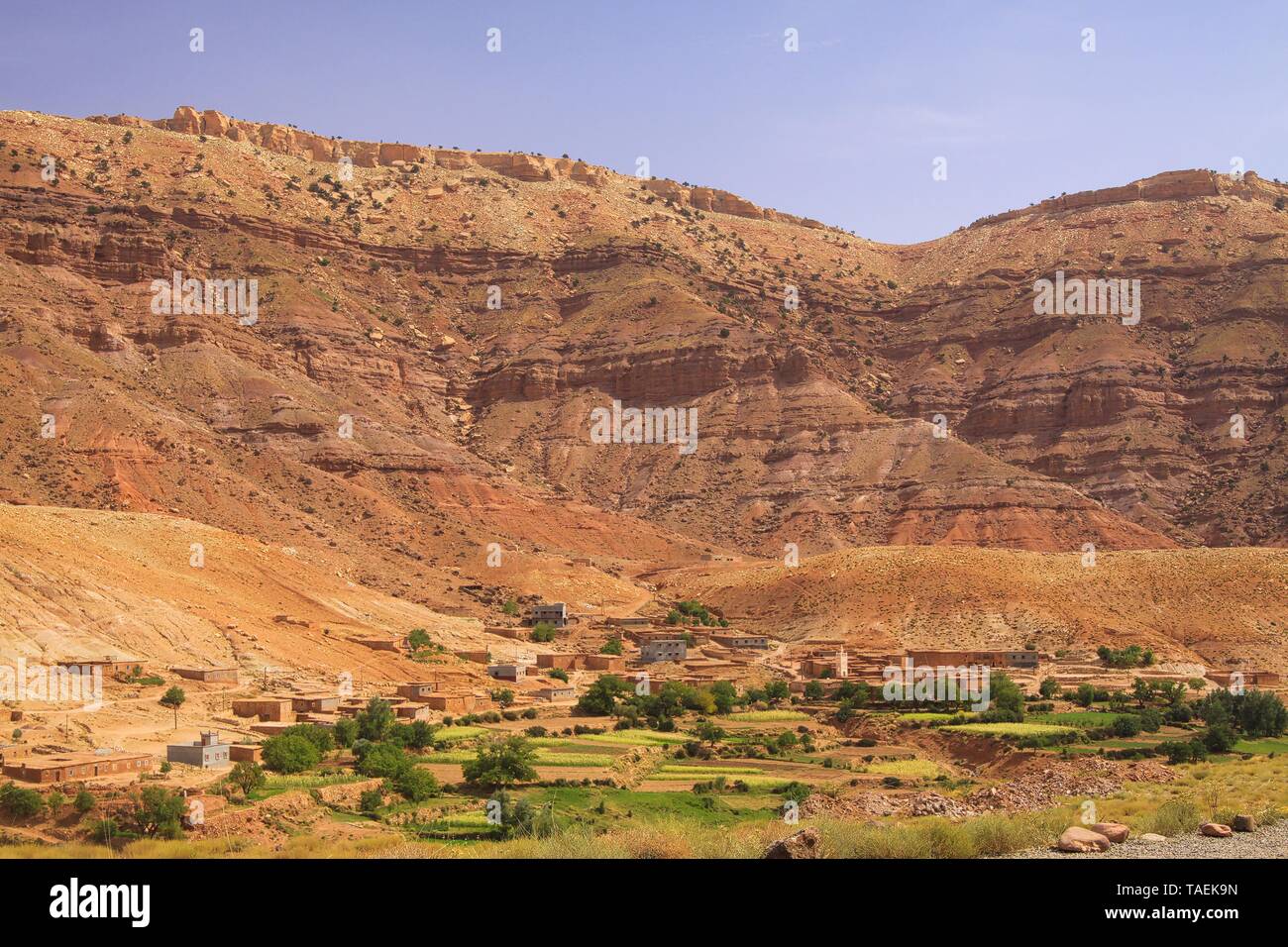 Old berber village oasis with houses build of clay bricks in front of ...
