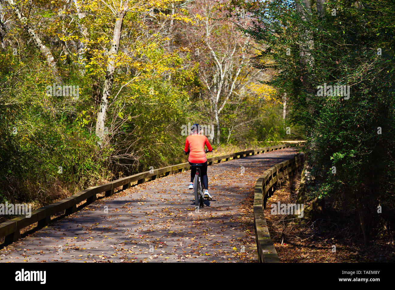 Atlanta walking trail hi-res stock photography and images - Alamy