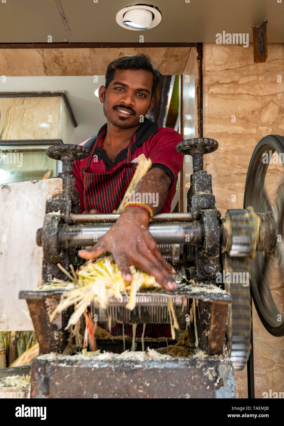 Using rollers to extract cane juice hi-res stock photography and images ...