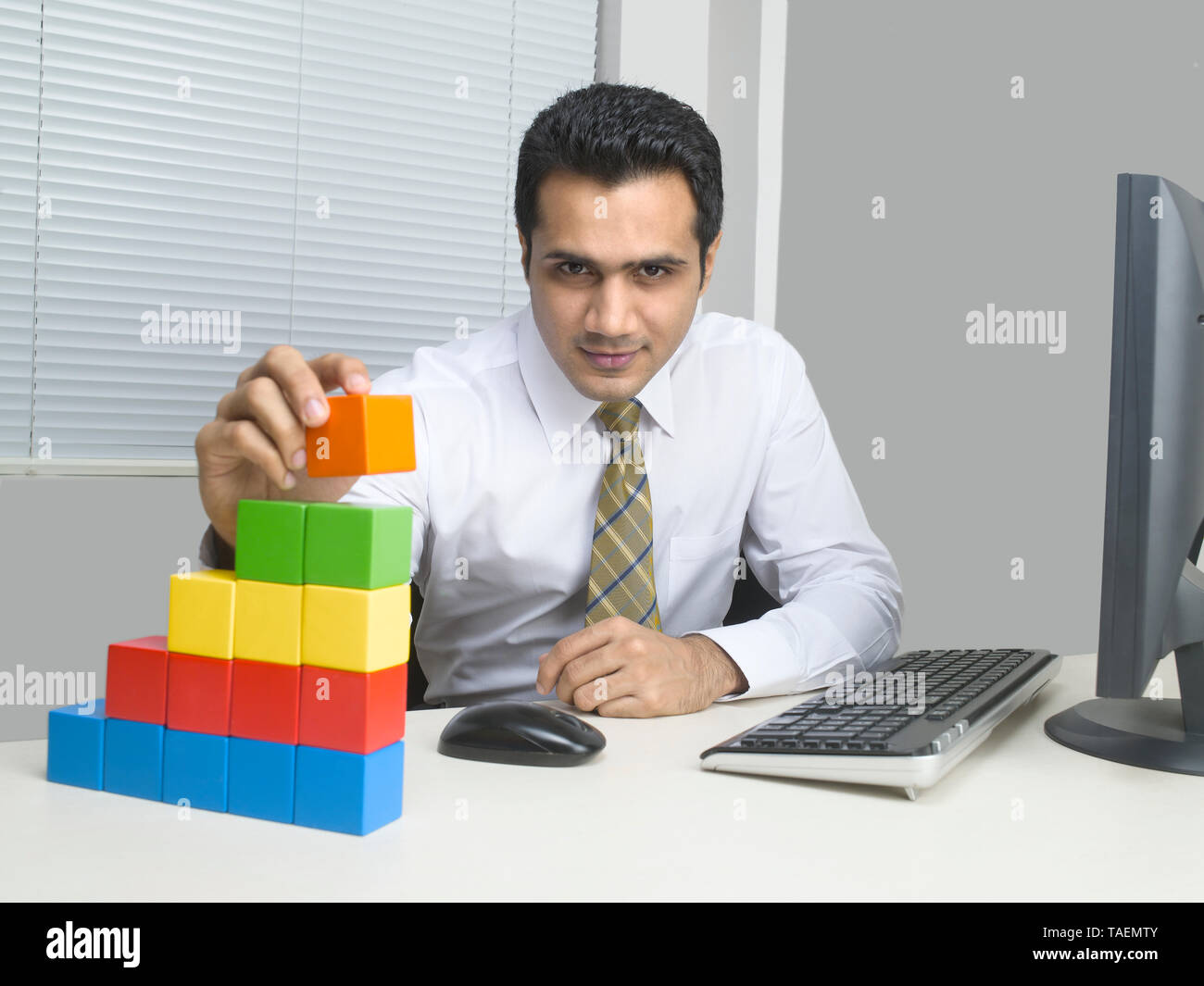 CORPORATE EXECUTIVE USING BUILDING BLOCKS TO BUILD A CONCEPTUAL ...
