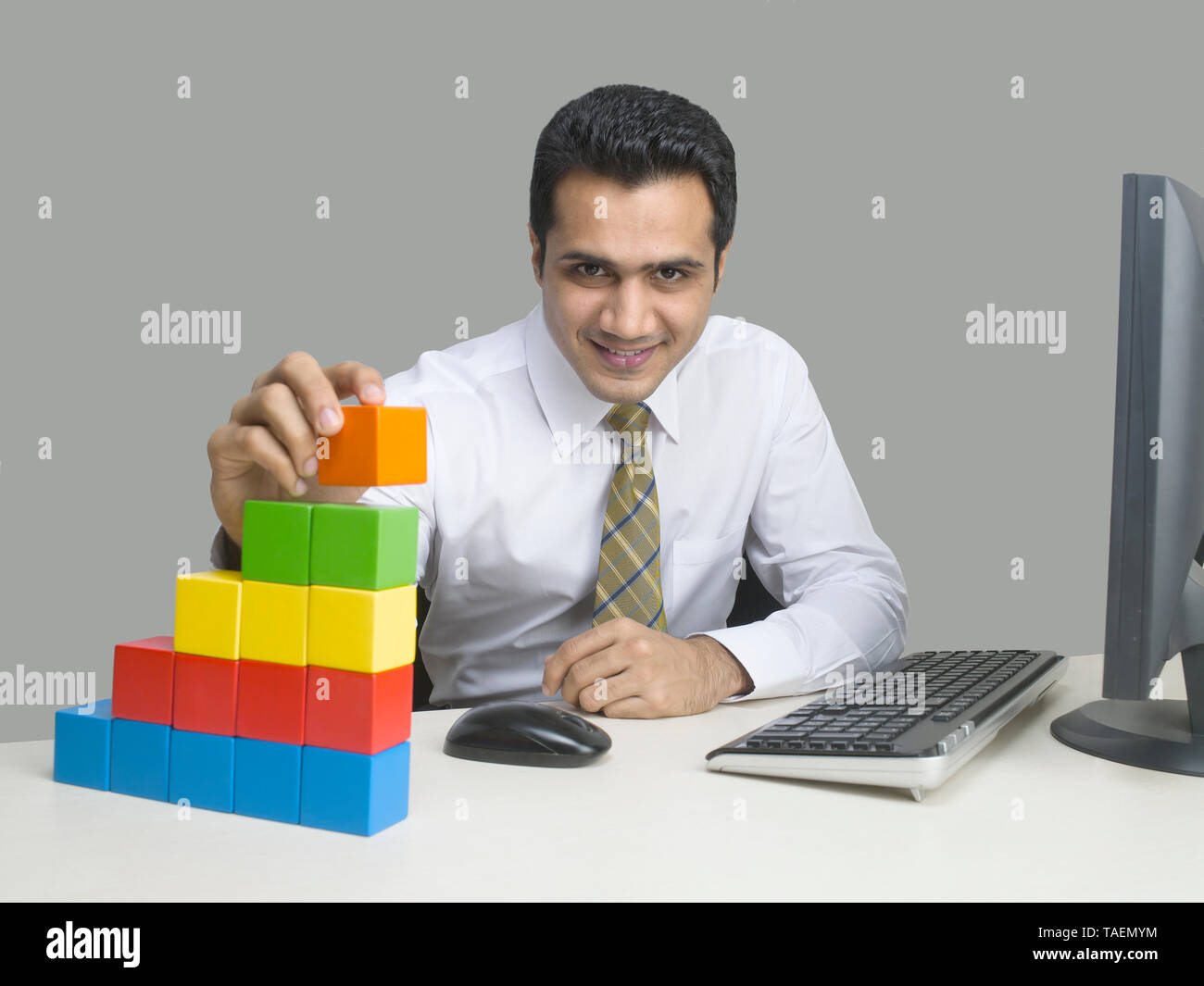 CORPORATE EXECUTIVE USING BUILDING BLOCKS TO BUILD A CONCEPTUAL ...