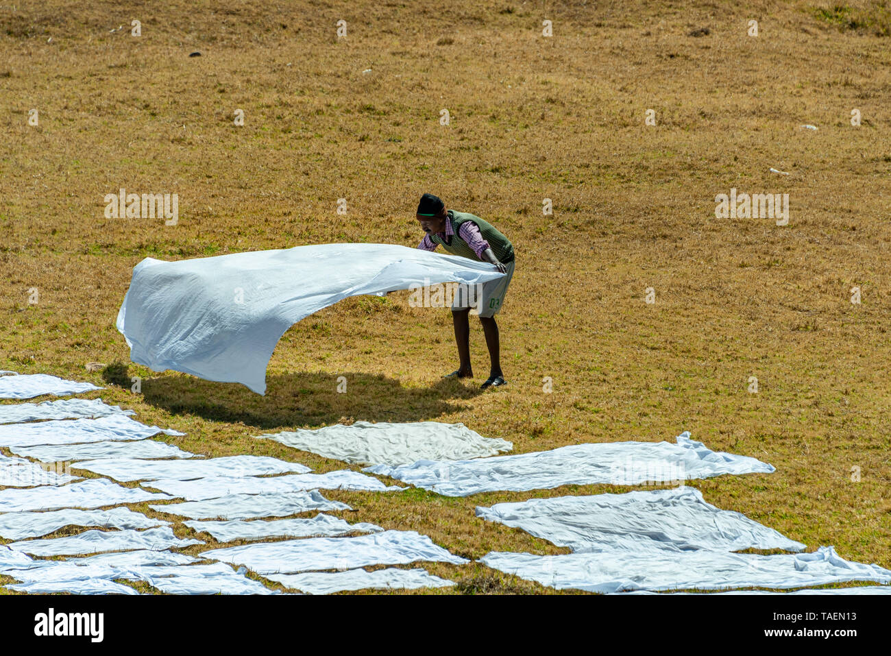 Horizontal view of a dhobi wallah laying out clean washing to dry in ...