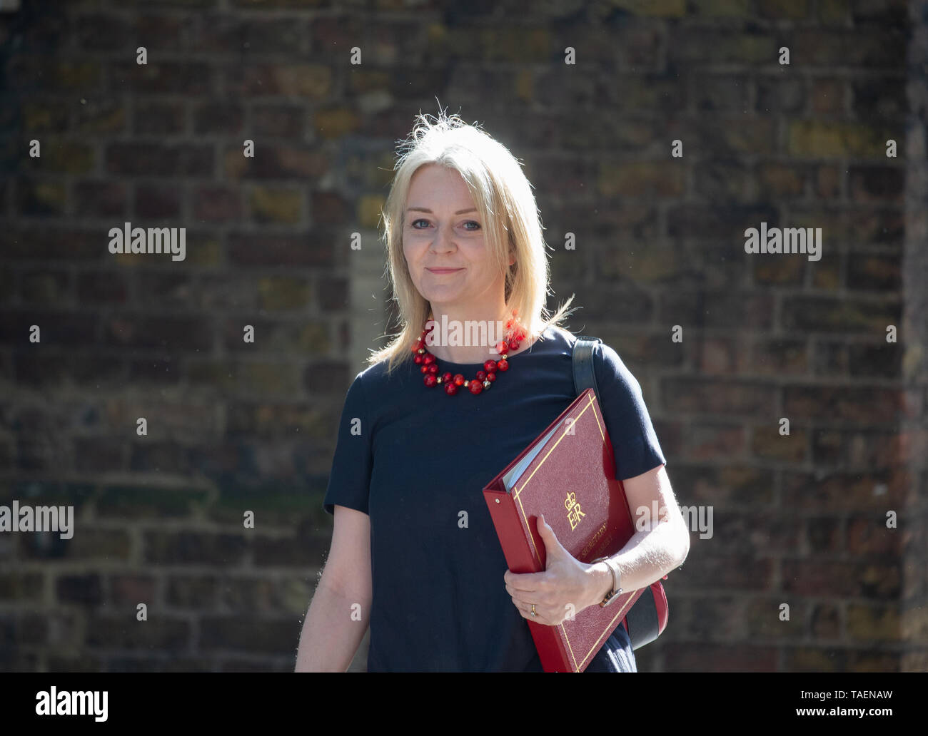British conservative party politician hi-res stock photography and ...