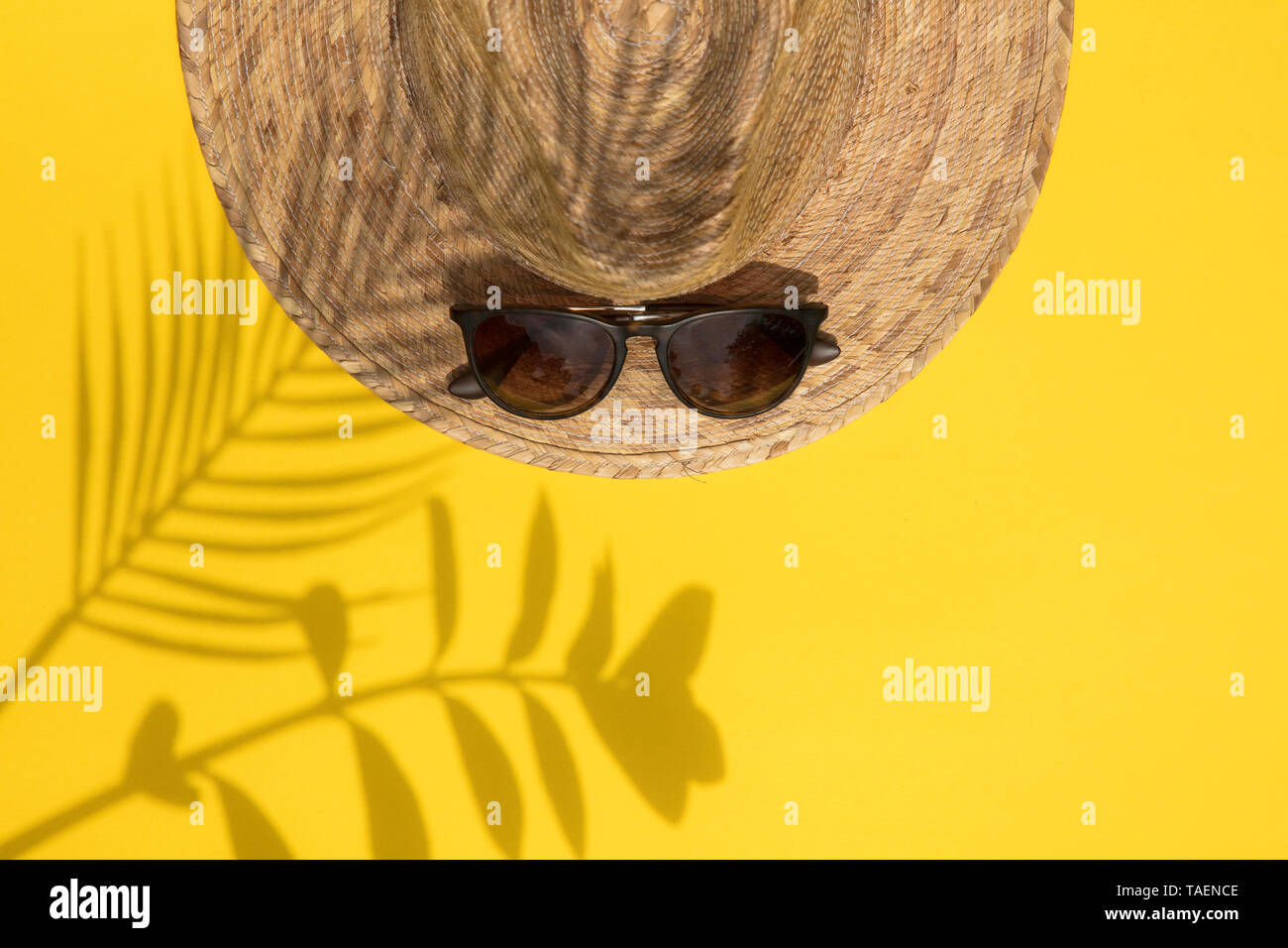 Summer holiday composition. Straw hat, sunglasses and tropical palm ...