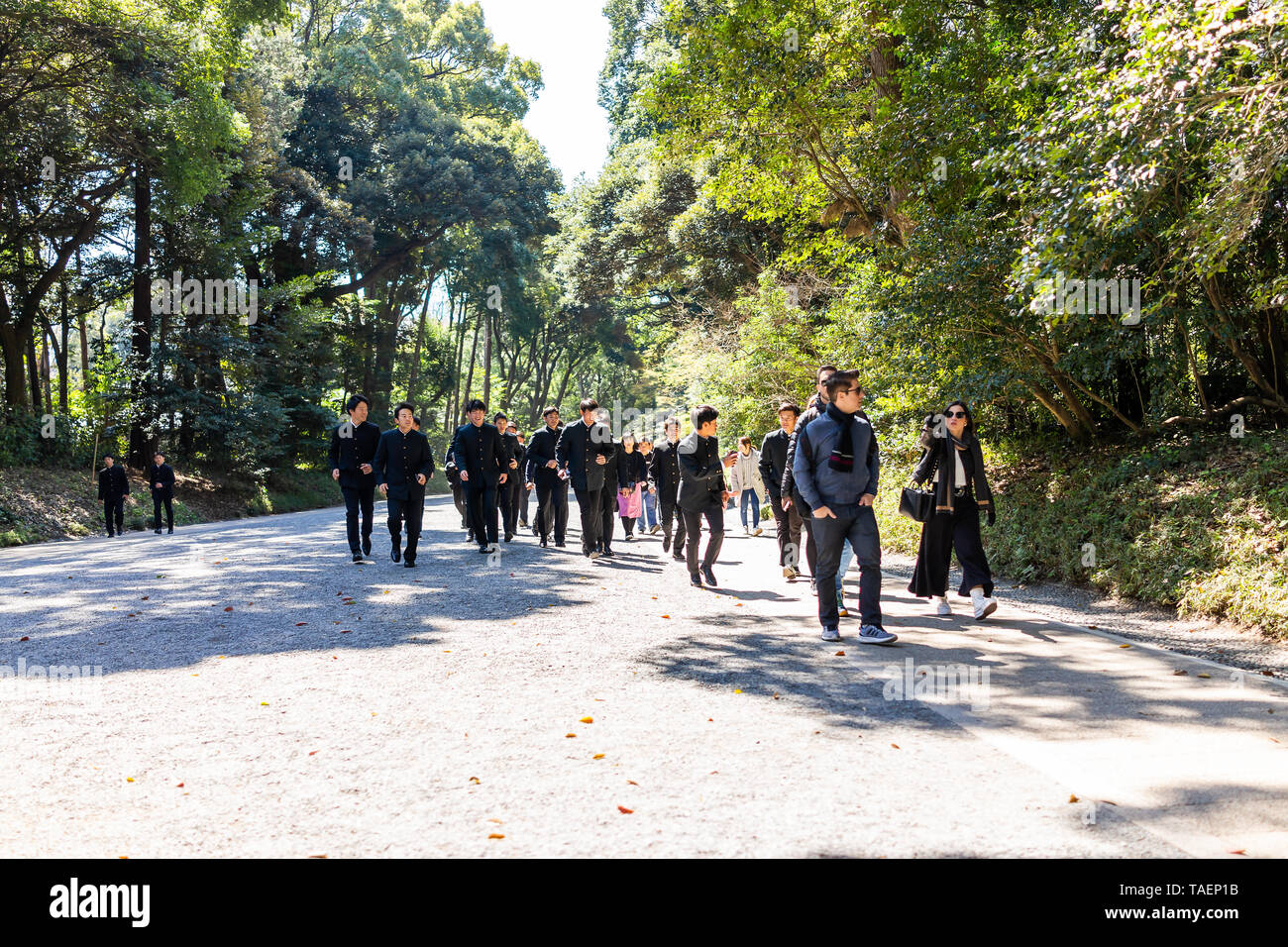 Tokyo, Japan - April 3, 2018: Meiji shrine trail path road with many ...