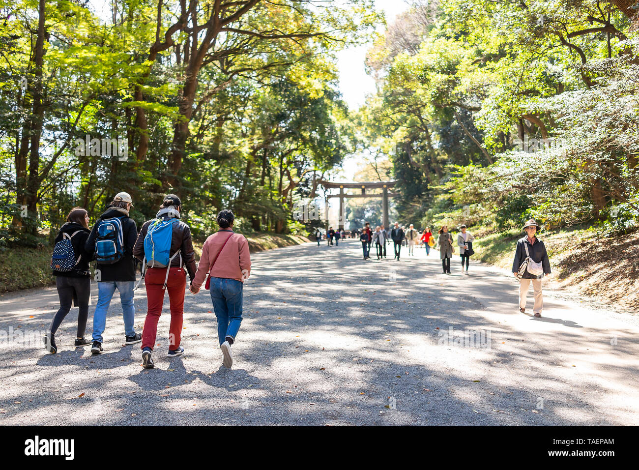 Tokyo, Japan - April 3, 2018: Meiji shrine gate with green trees forest ...
