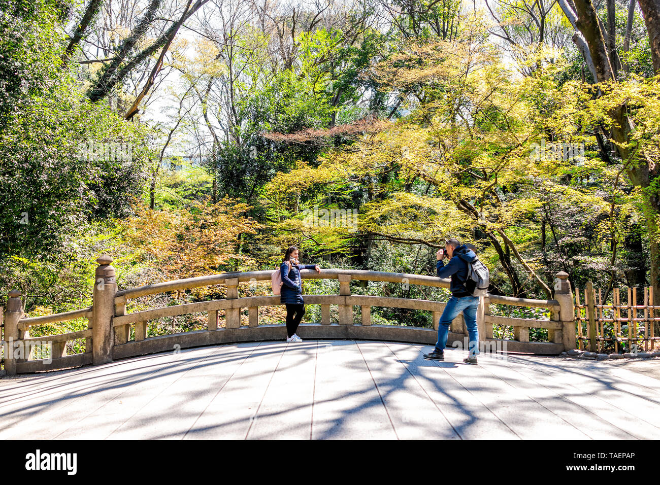 Spring in meiji jingu forest hi-res stock photography and images - Alamy