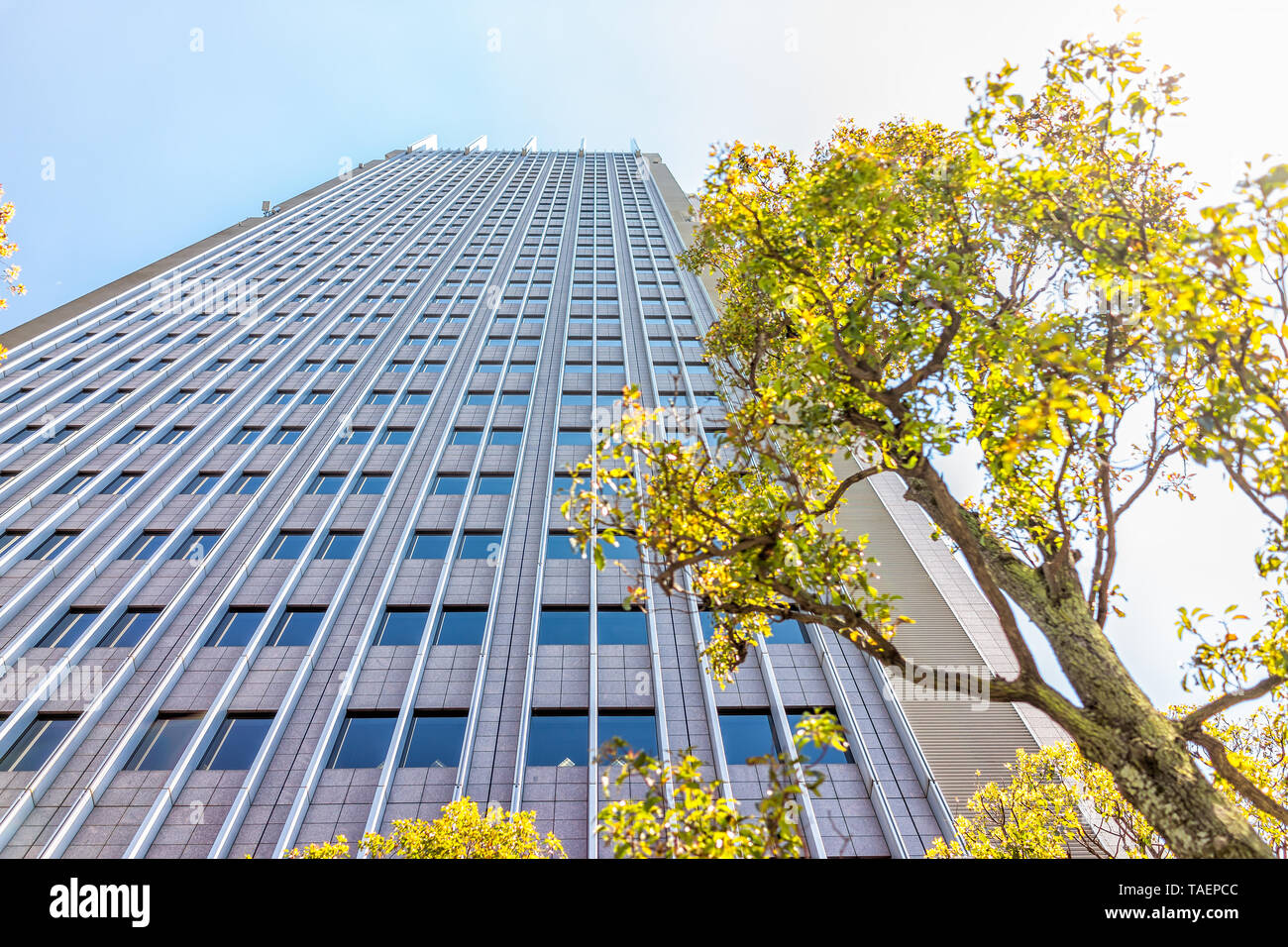 Ntt docomo tower hi-res stock photography and images - Alamy