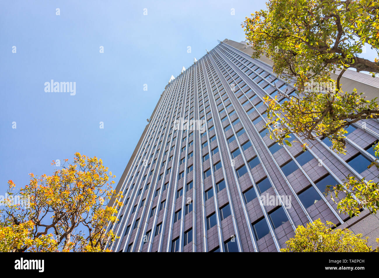 Tokyo, Japan - April 2, 2019: Shinjuku low angle view of modern ...