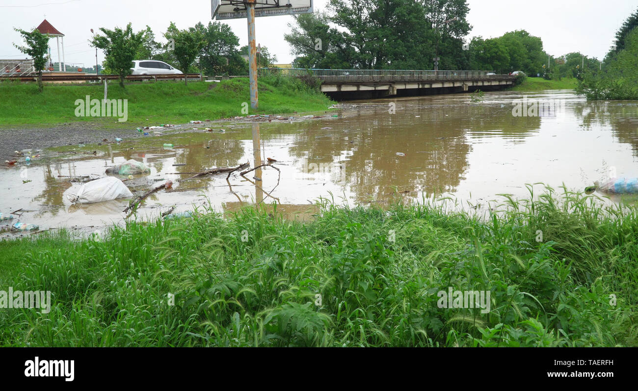 Waterlogged flooding channels developing by high water of a small river ...