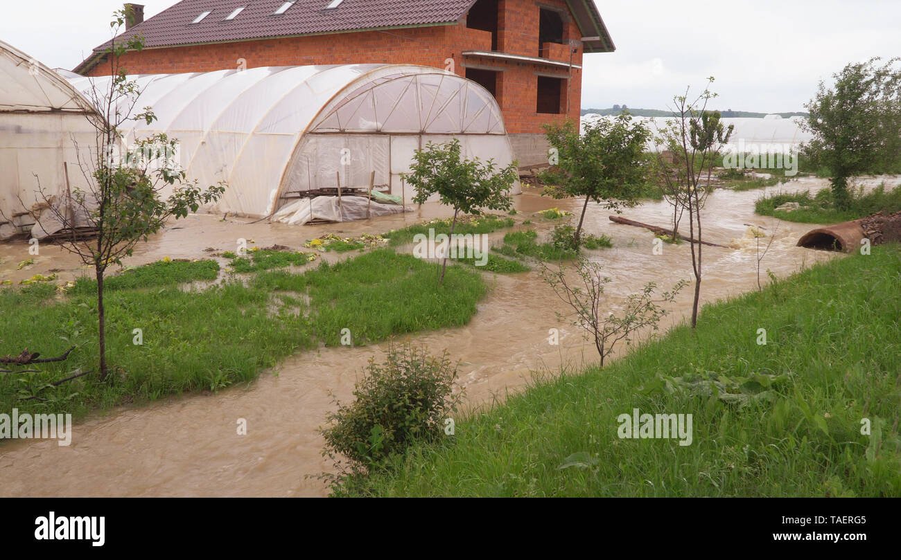 Agricultural disaster, field of flooded by high water of a small river ...