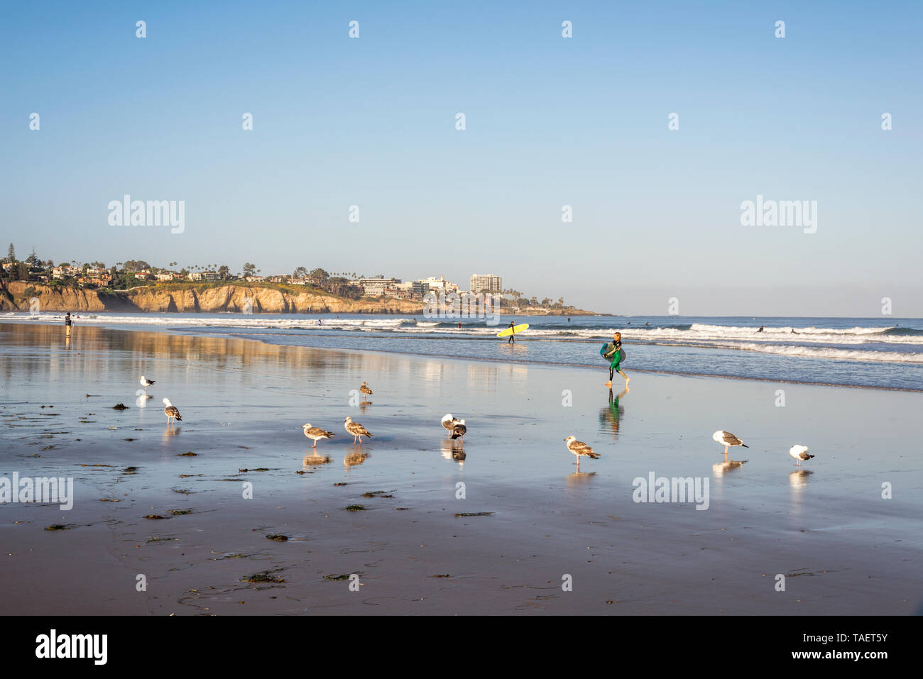 La jolla shores hi-res stock photography and images - Alamy