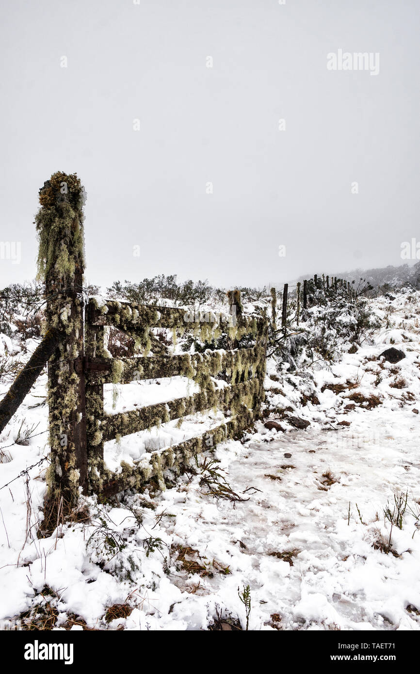 Brazil cold weather hi-res stock photography and images - Alamy