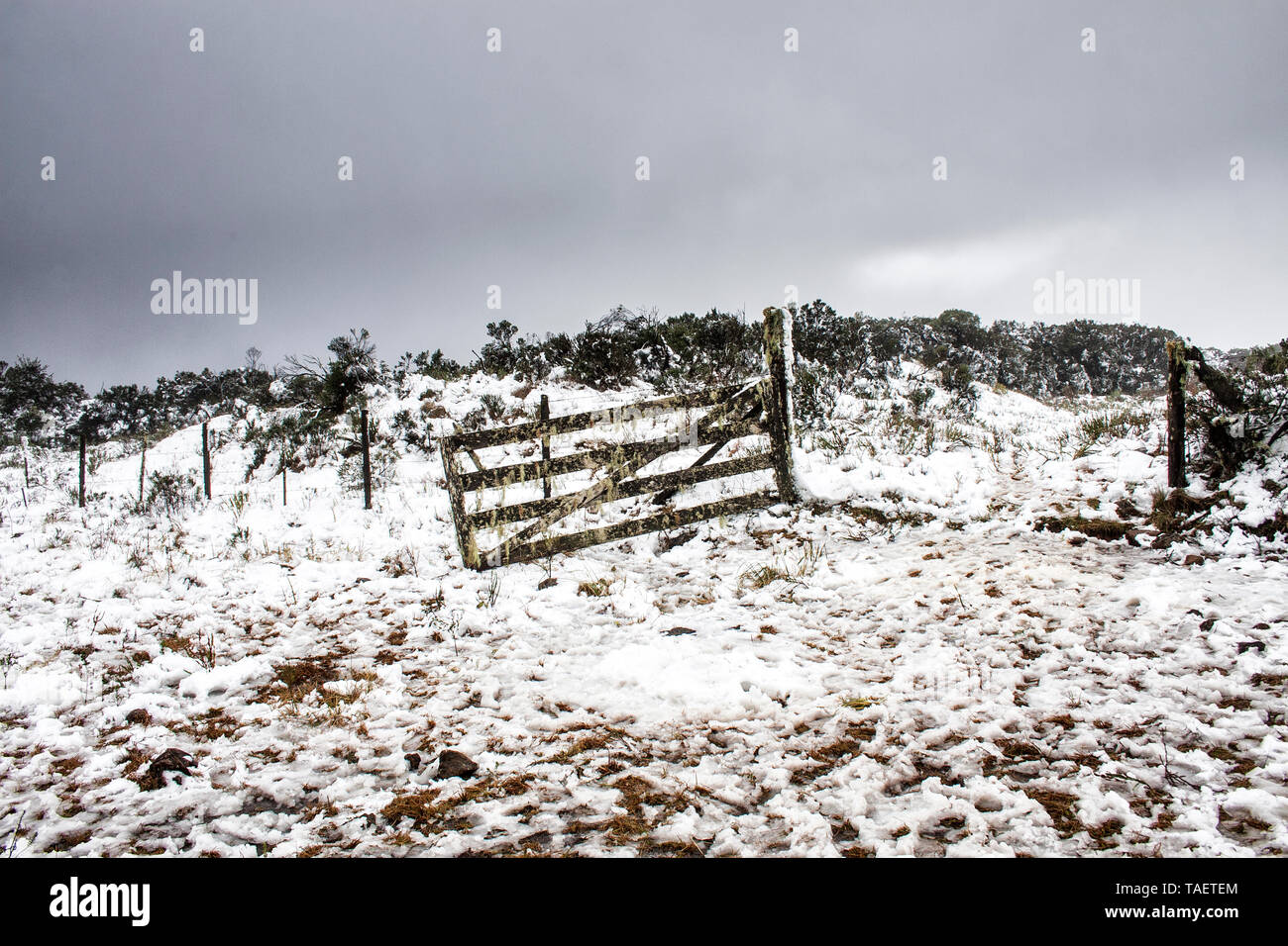 Brazil cold weather hi-res stock photography and images - Alamy