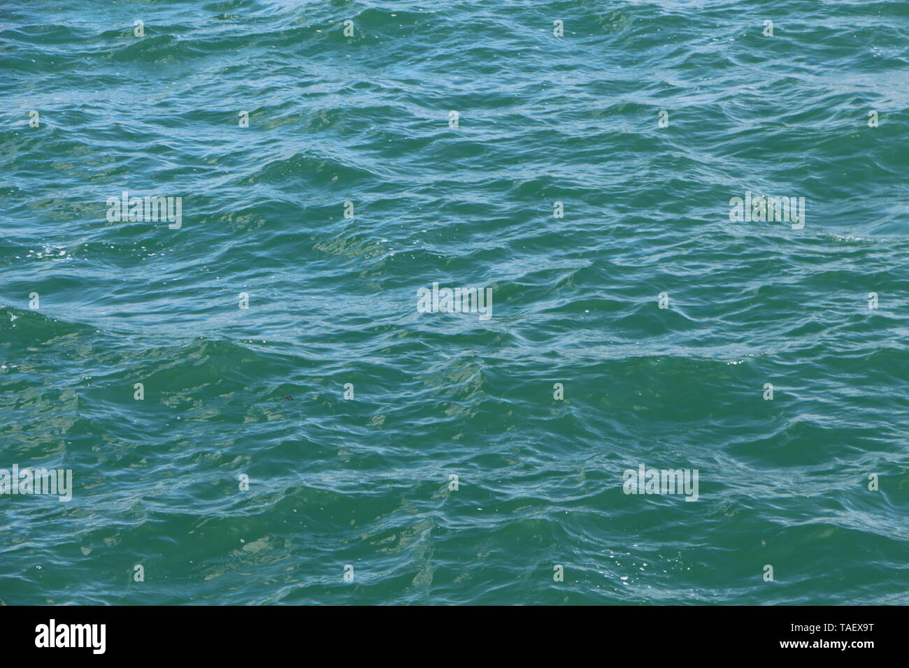 Wavelet on the sea in Brittany Stock Photo - Alamy