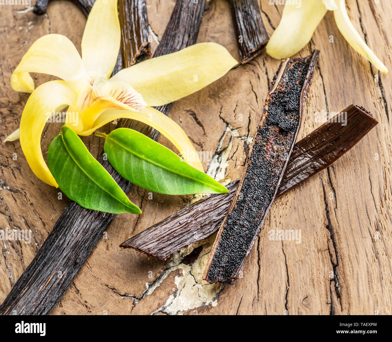 Dried vanilla fruits and vanilla orchid on wooden table. Close-up Stock ...