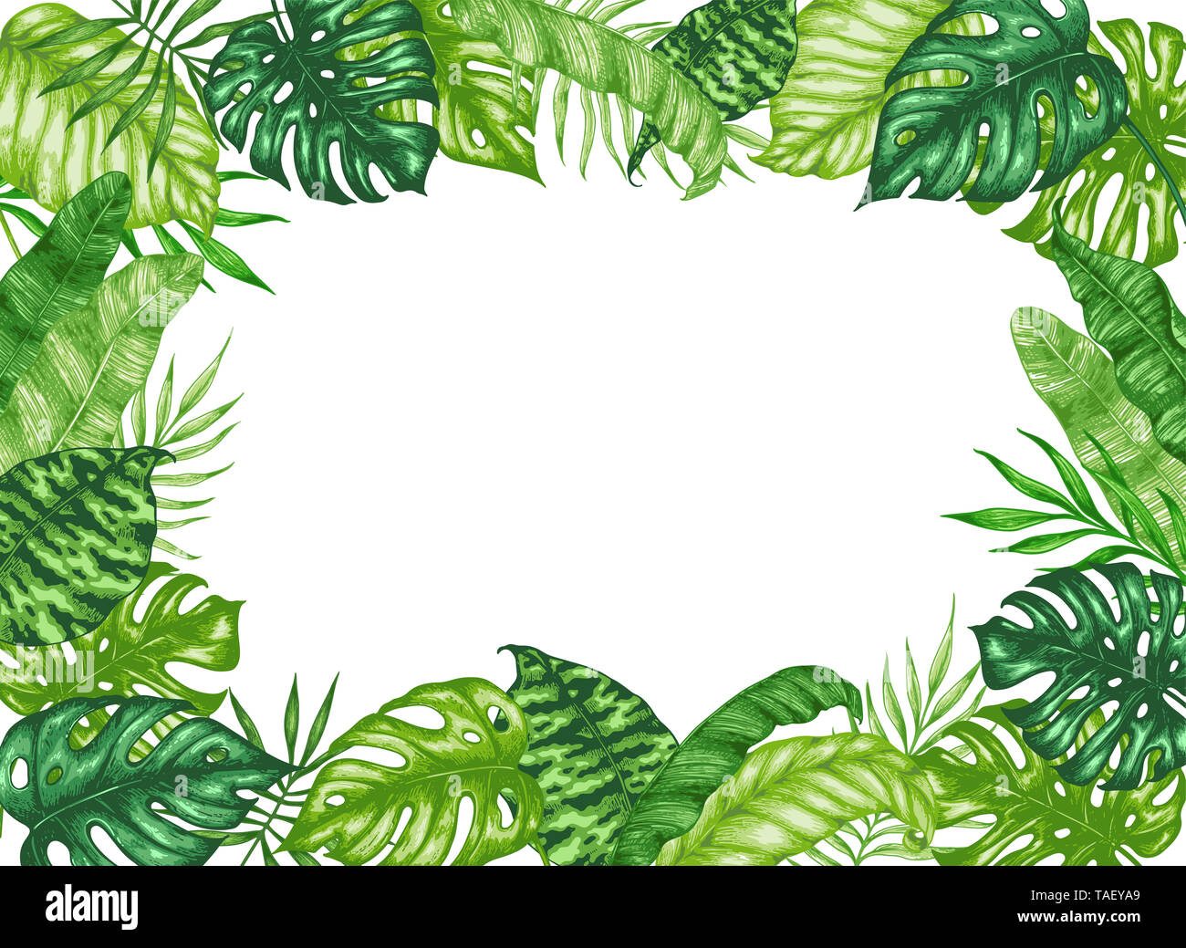 Tropical summer frame with green palm leaves on a white background ...