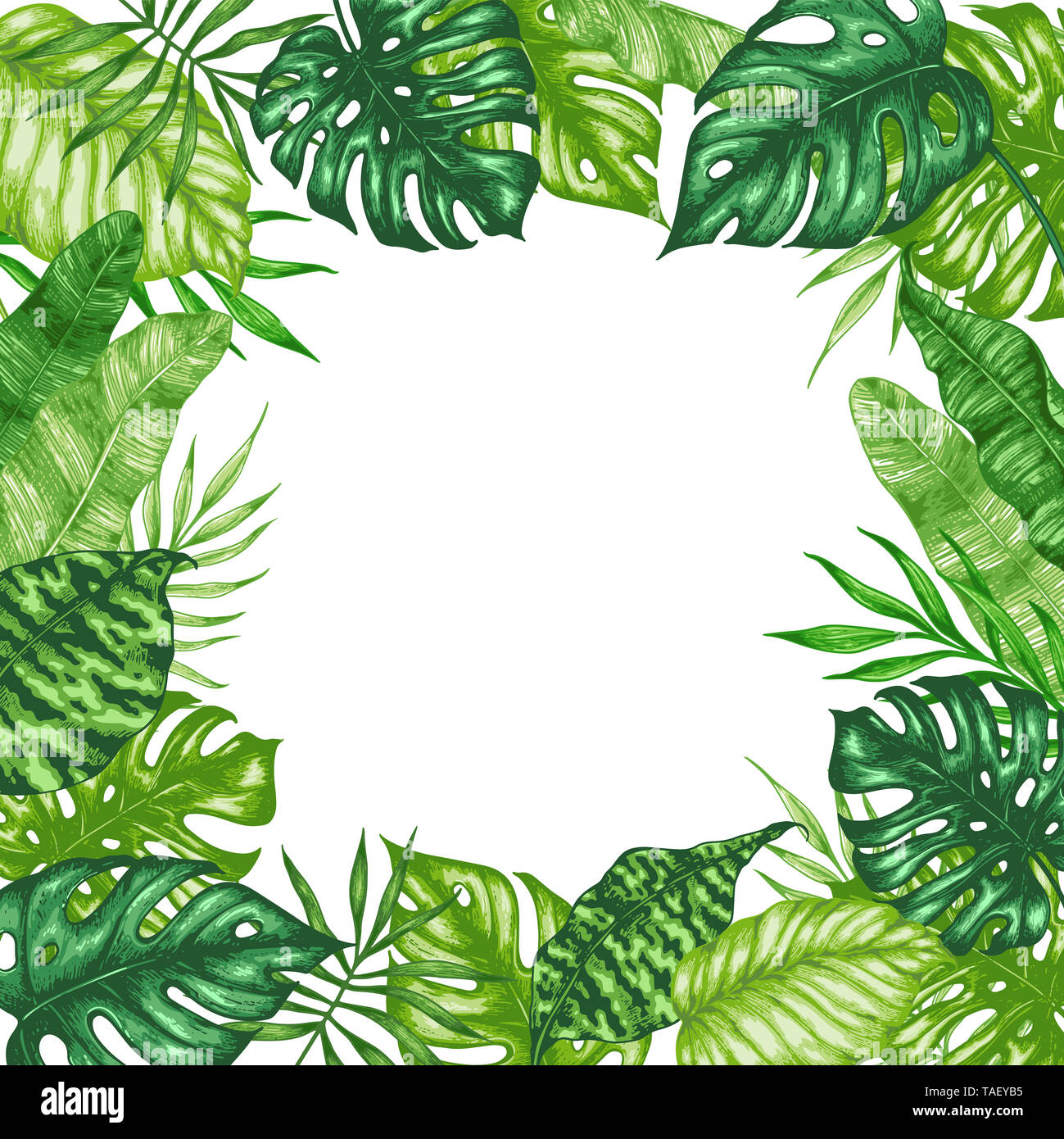 Tropical summer frame with green palm leaves on a white background ...