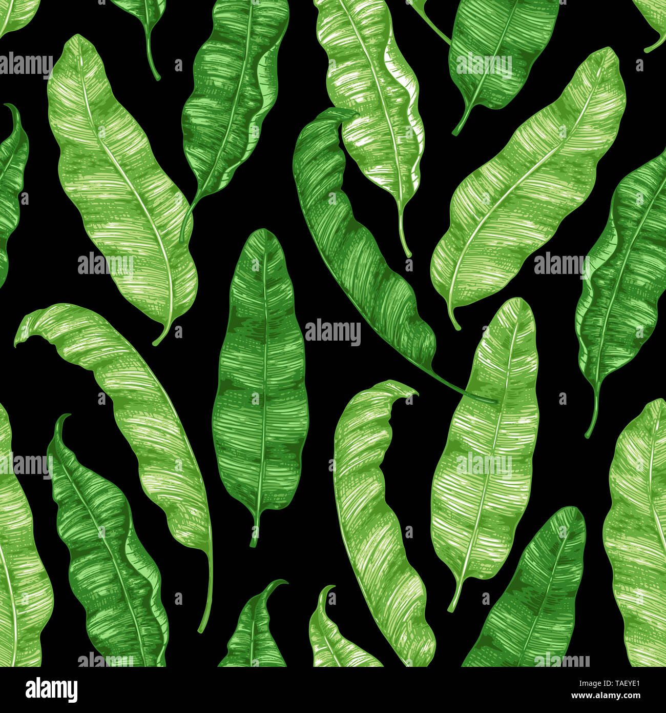 Tropical seamless pattern with green banana leaves on a black background. Hand drawn vintage ...