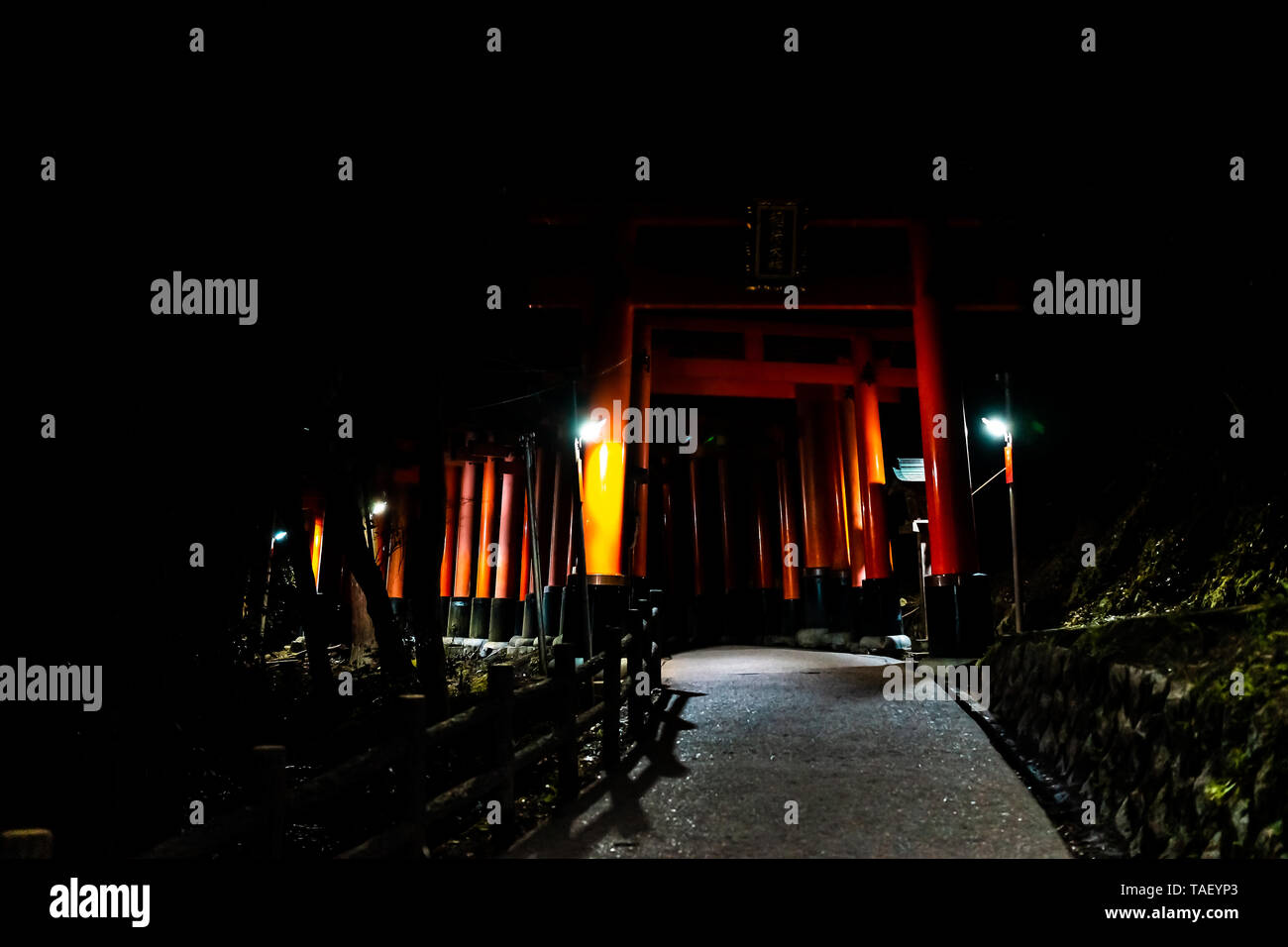 Kyoto, Japan red Fushimi Inari shrine torii gates in park at night with ...
