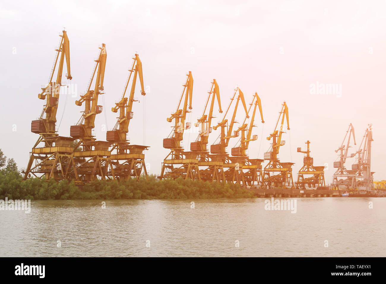 Many old gantry cranes stand in a row in a port on the river bank ...