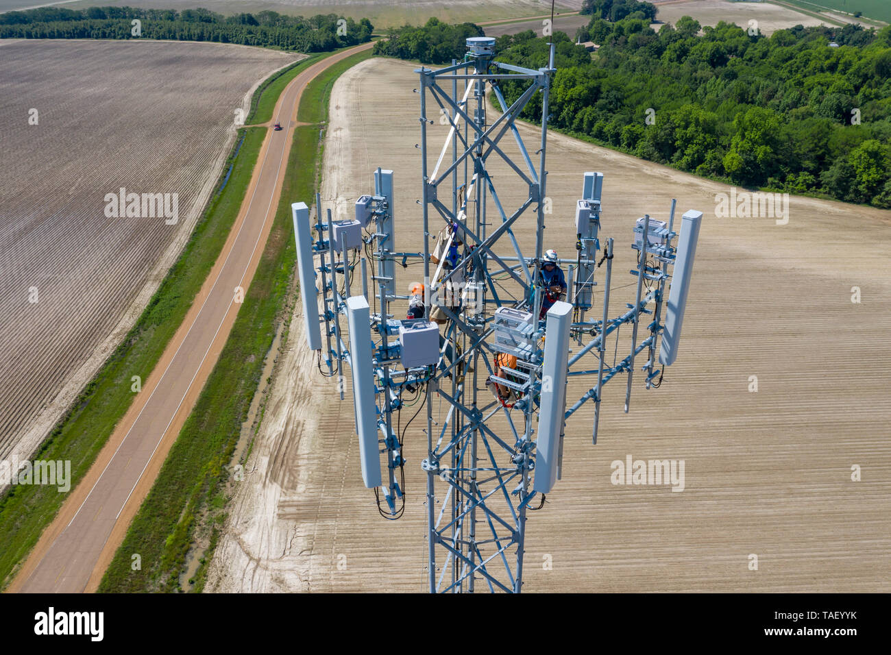 New cell hi-res stock photography and images - Alamy