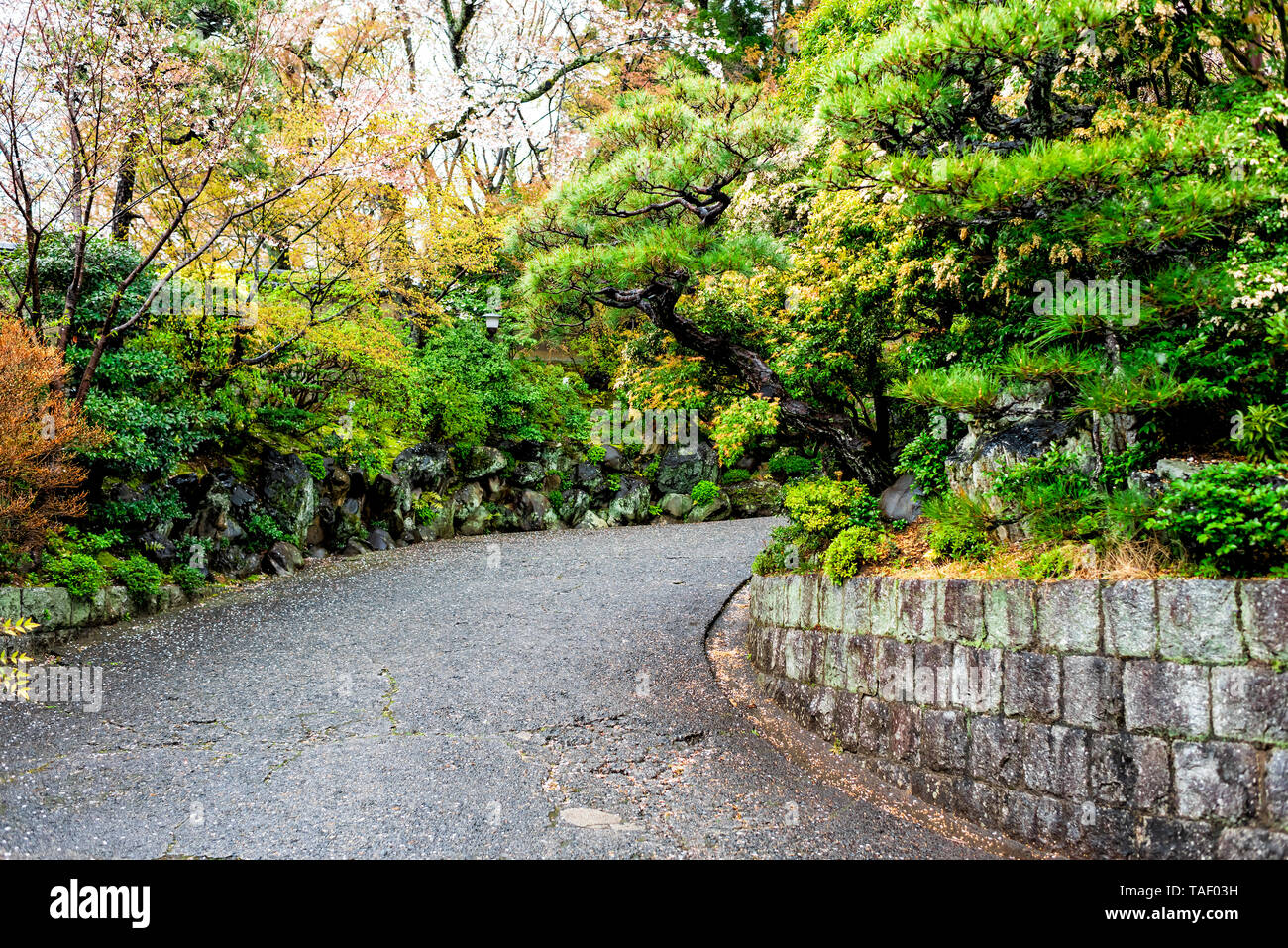 Japanese Road Stock Photos & Japanese Road Stock Images - Alamy