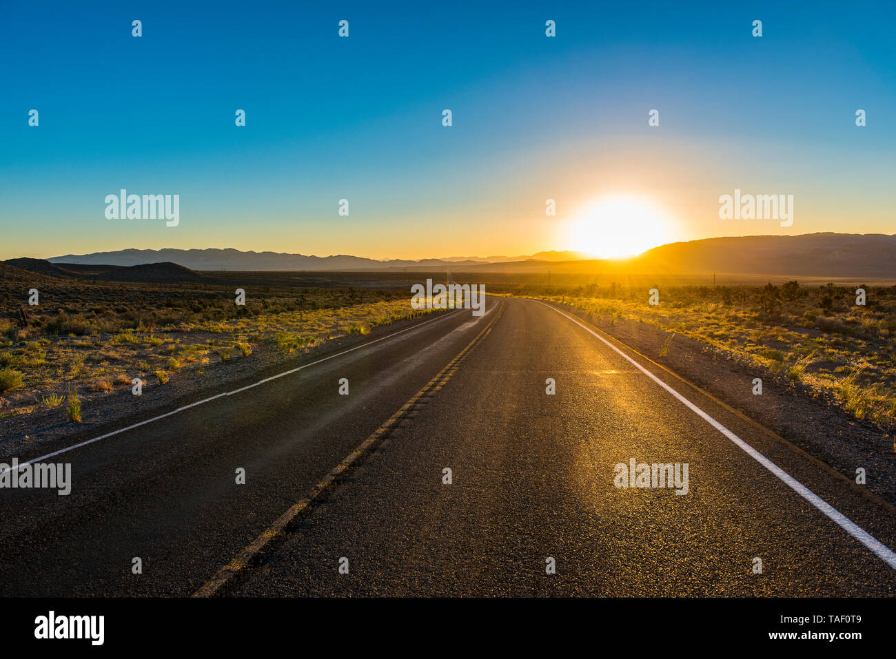 Long Winding Road Sunset