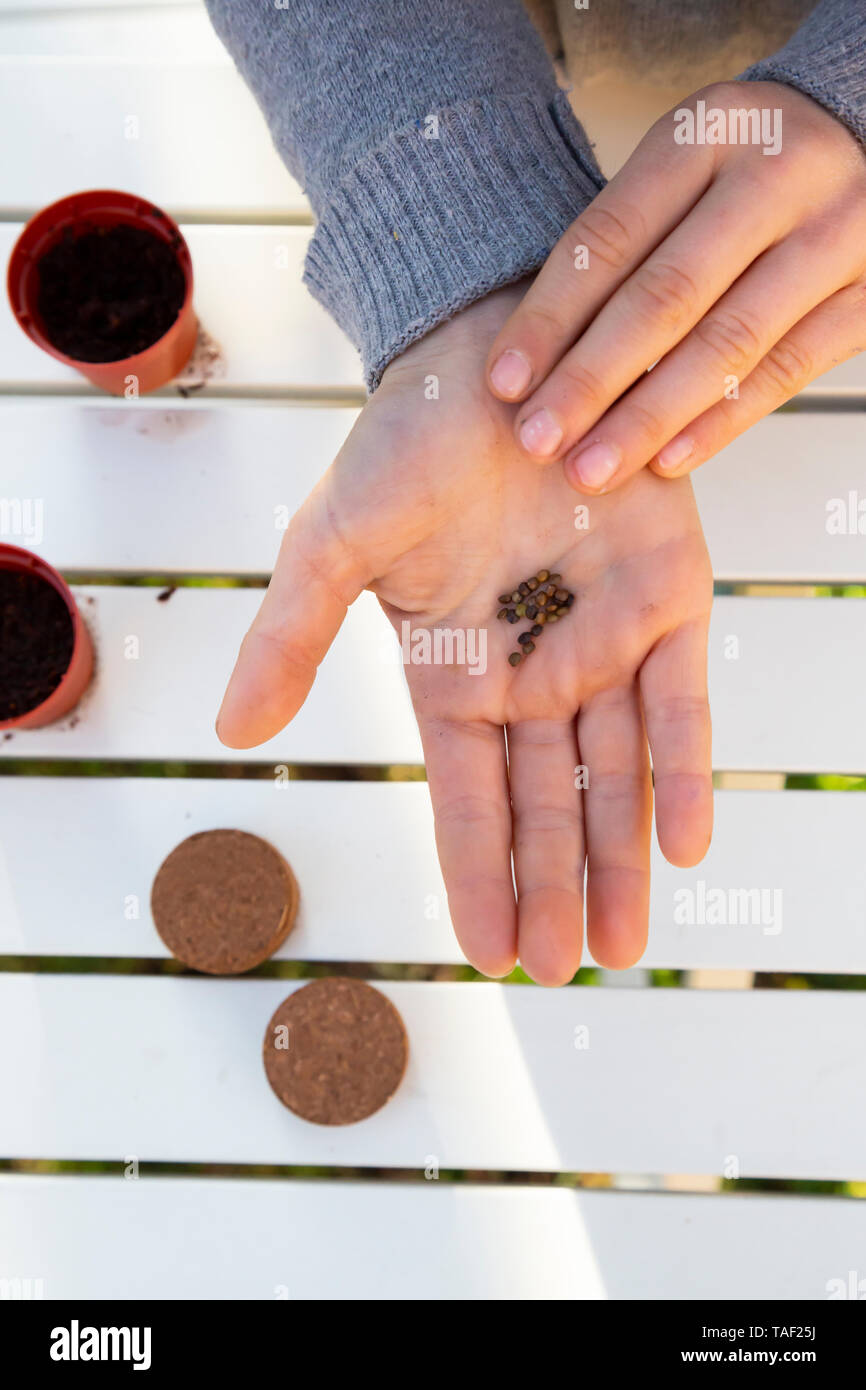 Children planting seeds hi-res stock photography and images - Alamy