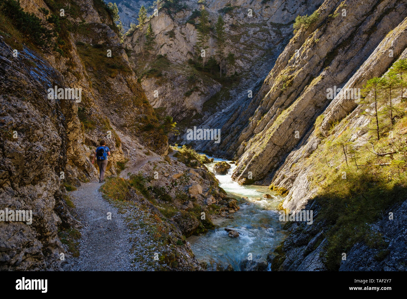 Austria, Tyrol, Karwendel mountains, Gleirschklamm, Gleirschbach Stock ...