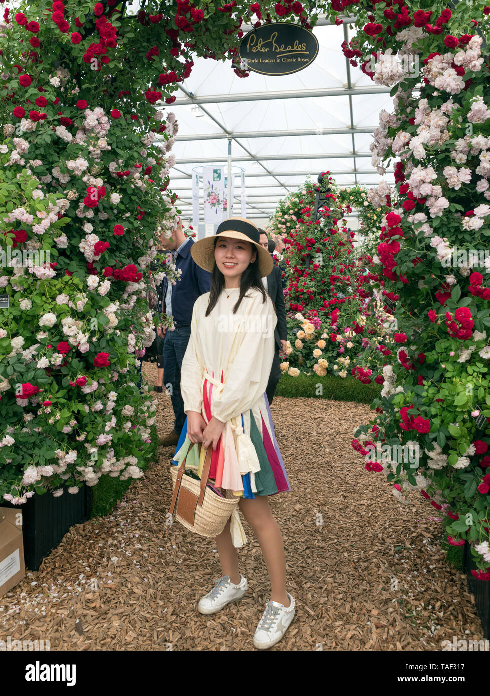 Standing roses hi-res stock photography and images - Alamy